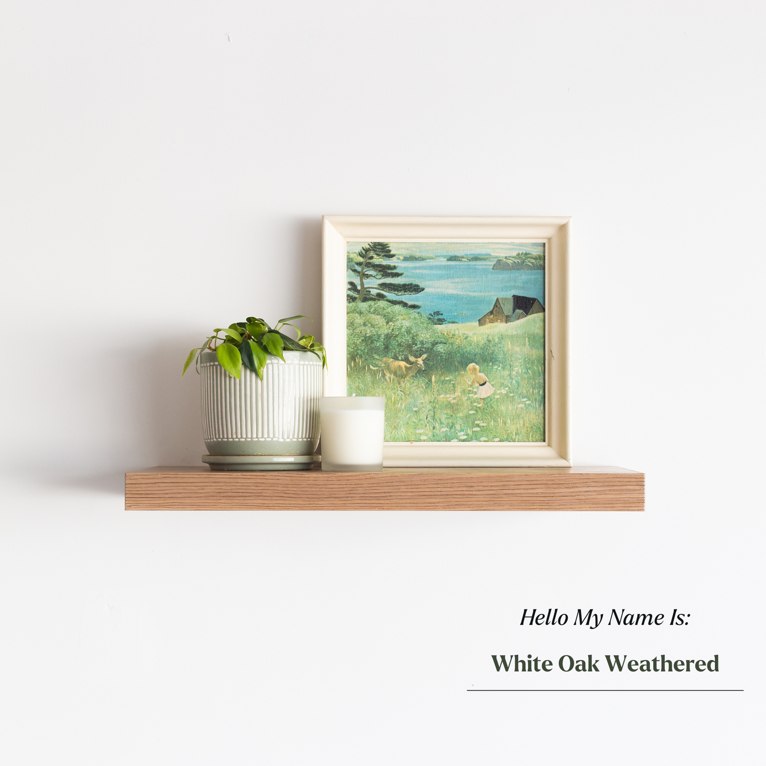 Products – Ultra Shelf